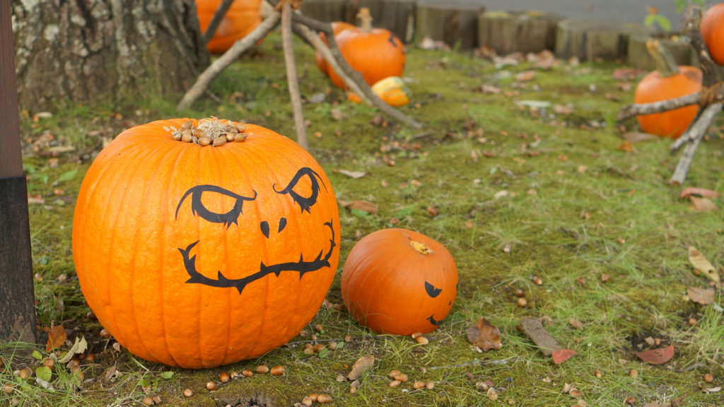 High yielding, guaranteed rent should be too good to be true ...