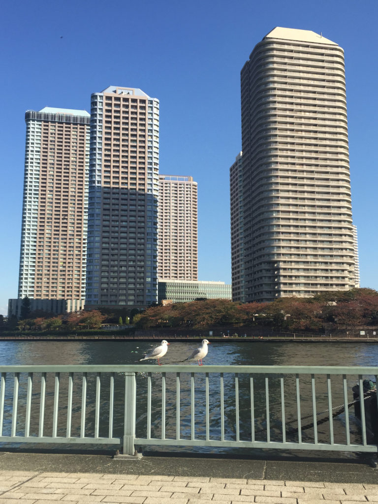 Tokyo Shines as Second Wealthiest City in the World, Despite Fewer ...